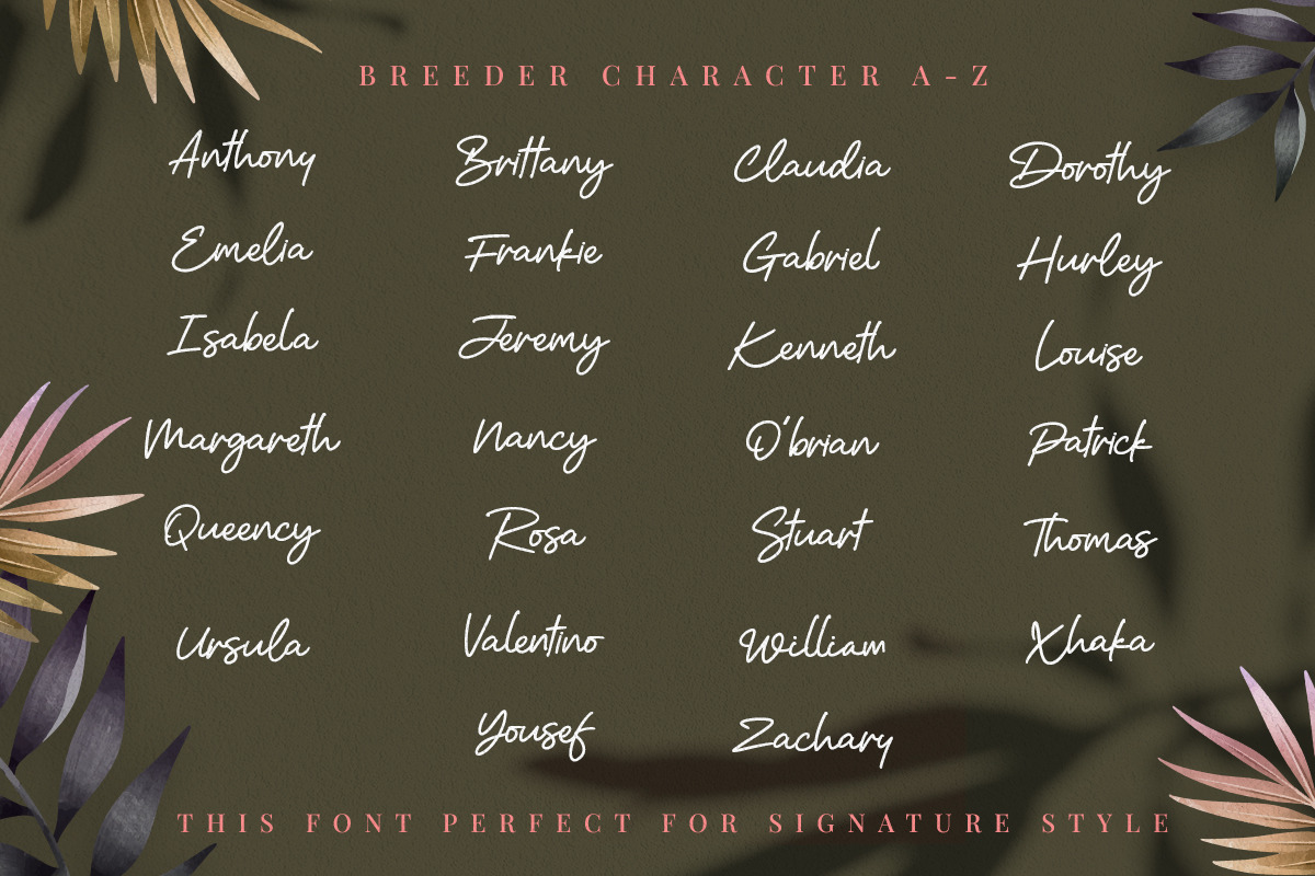 Breeder Font Duo | Script