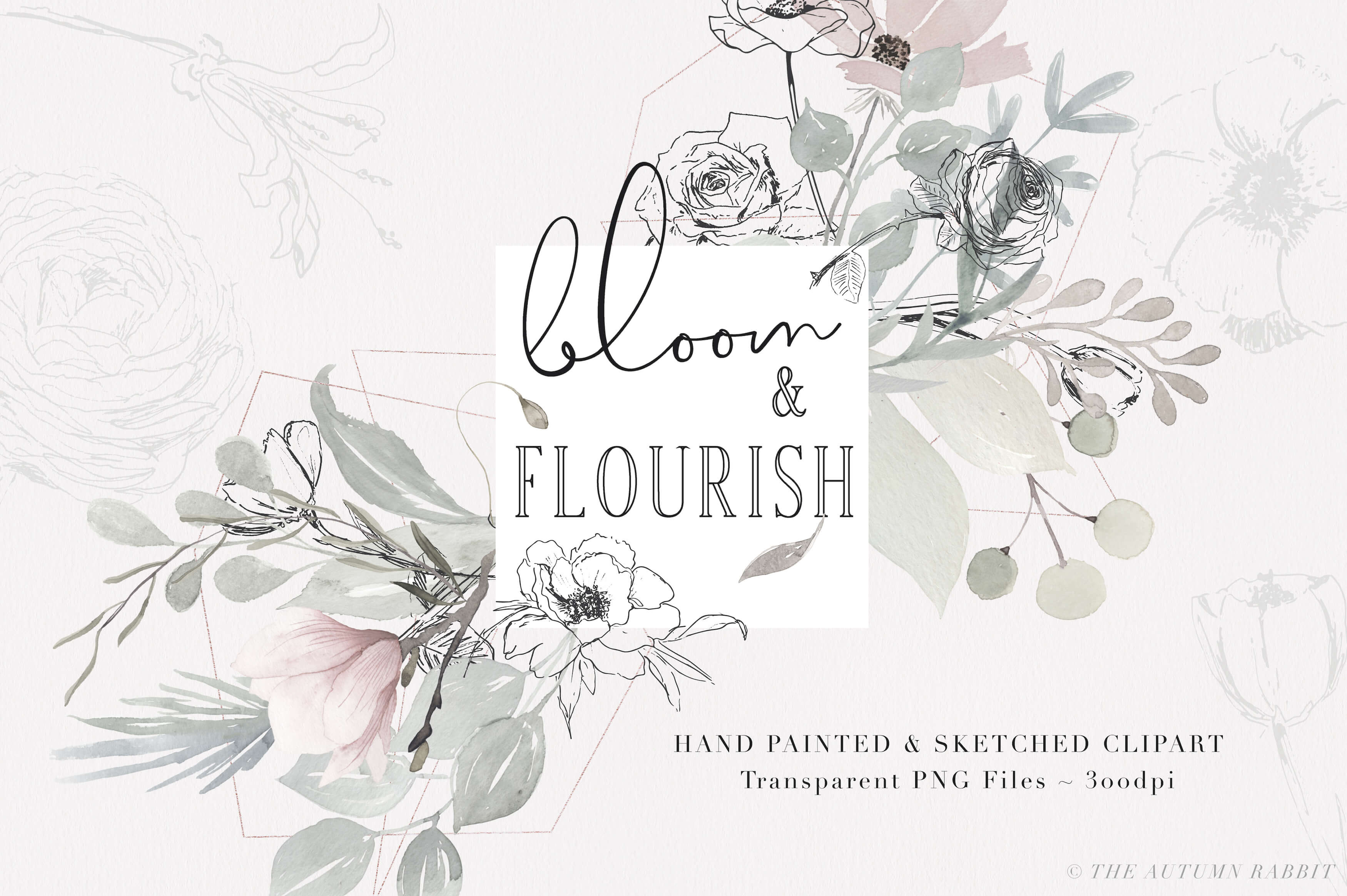Bloom & Flourish - Floral Clipart, an Illustration by The Autumn Rabbit Ltd