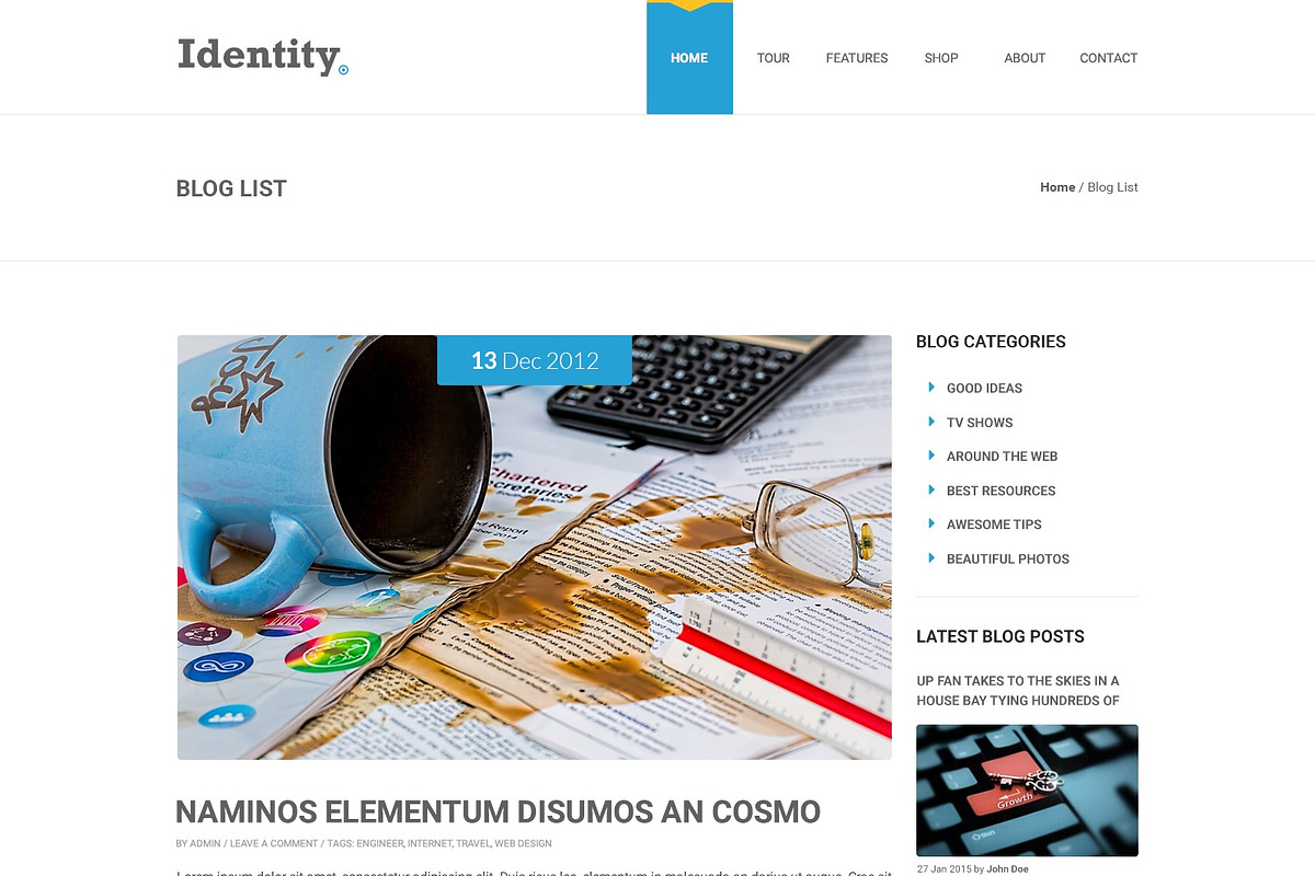 Identity - PSD Website Template, a Landing Page Template by Modo Press