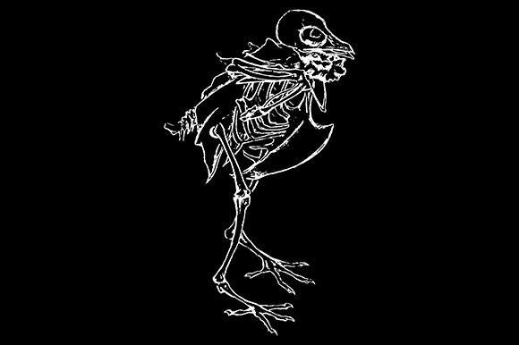 Pigeon dove bird skeleton vector, an Animal Illustration by Art By ...