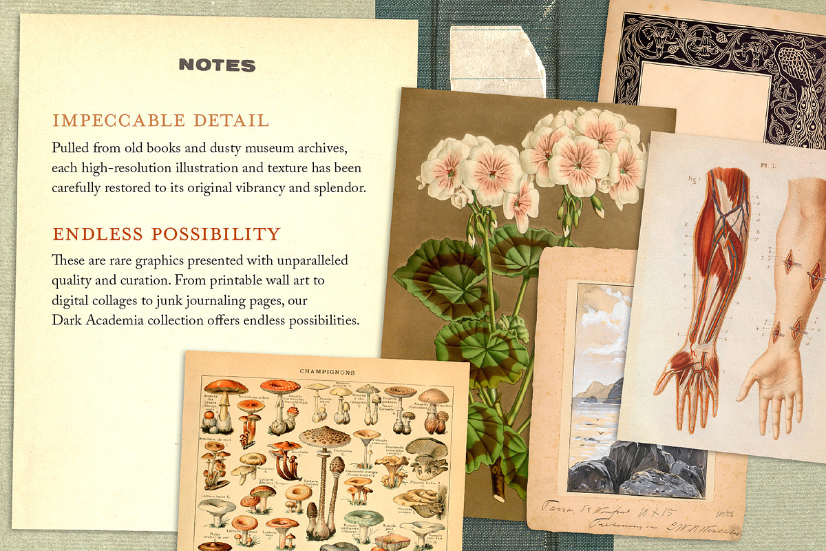 Dark Academia: 300 Vintage Ephemera, an Object Graphic by The Object Atlas