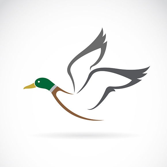 Flying wild duck design., an Icon by yod67