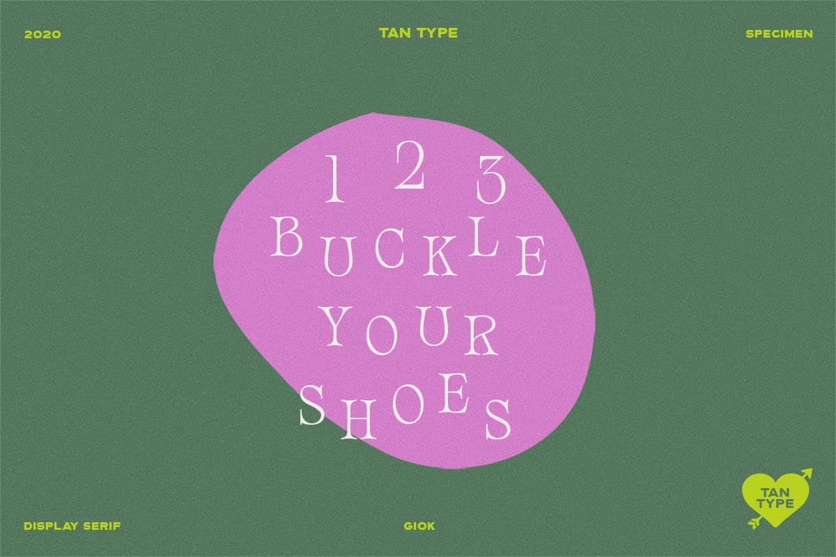 TAN - GIOK, a Serif Font by TanType