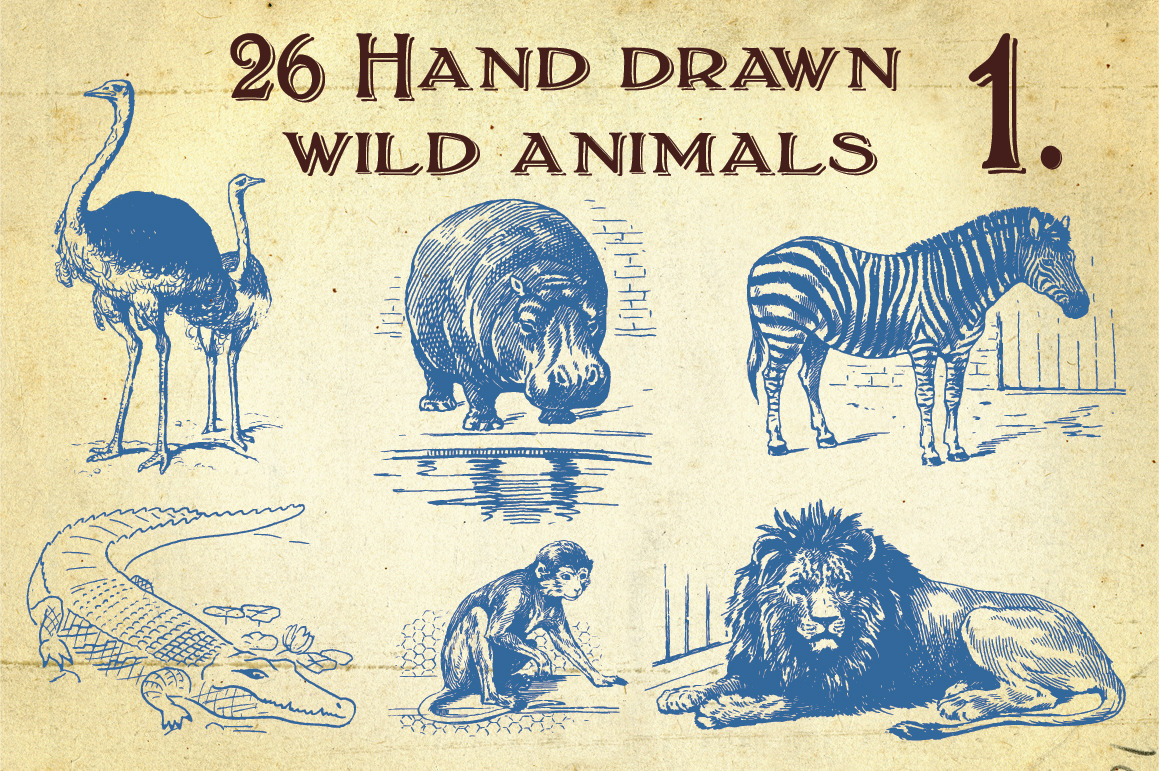 vector illustration of wild animals
