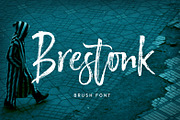 Brestonk Brush Font, a Script Font by Dhan Studio