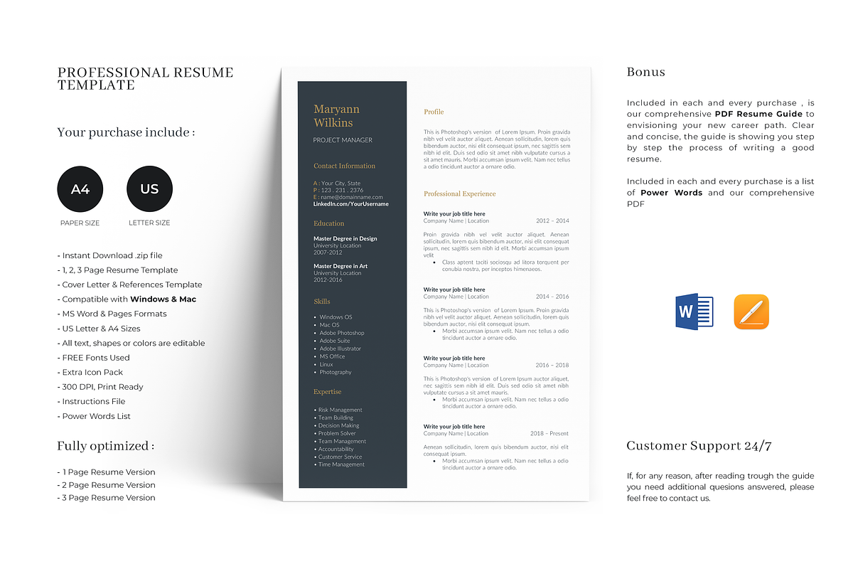 Professional Resume Templates