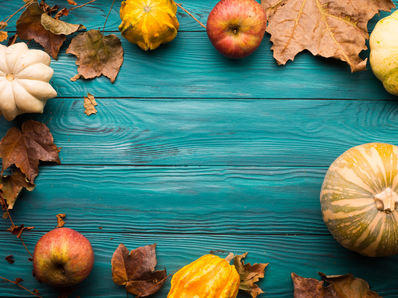 Green autumn background with pumpkin leaves containing autumn, fall ...