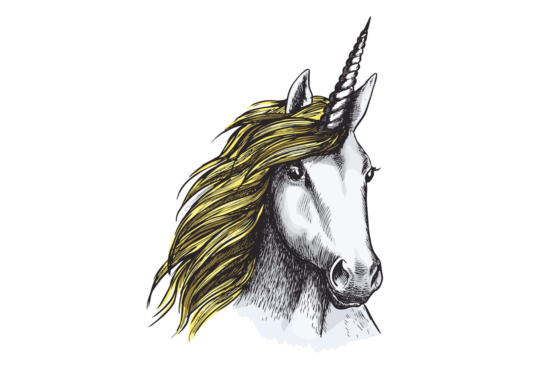 Vector sketch unicorn horse mystic magic animal, an Animal Illustration ...