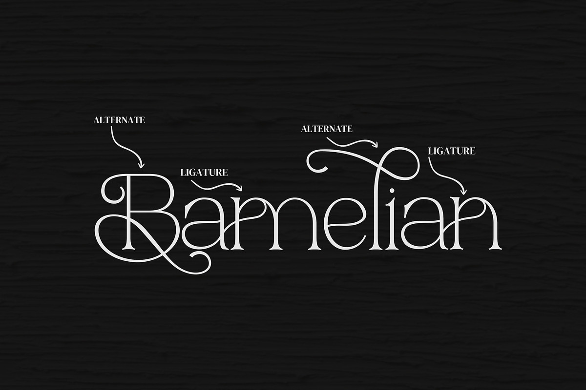 Bamelian Serif Fonts, a Serif Font by mahstudios