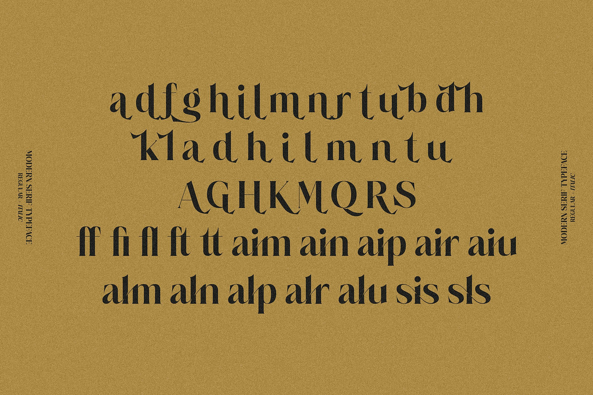 Salgesis Modern Serif Typeface, a Serif Font by Storytype Studio