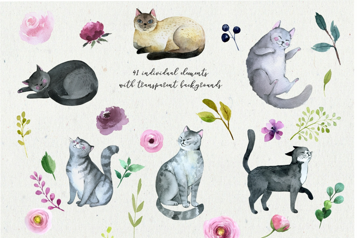 Spring cats - graphic set, an Animal Illustration by Youksy