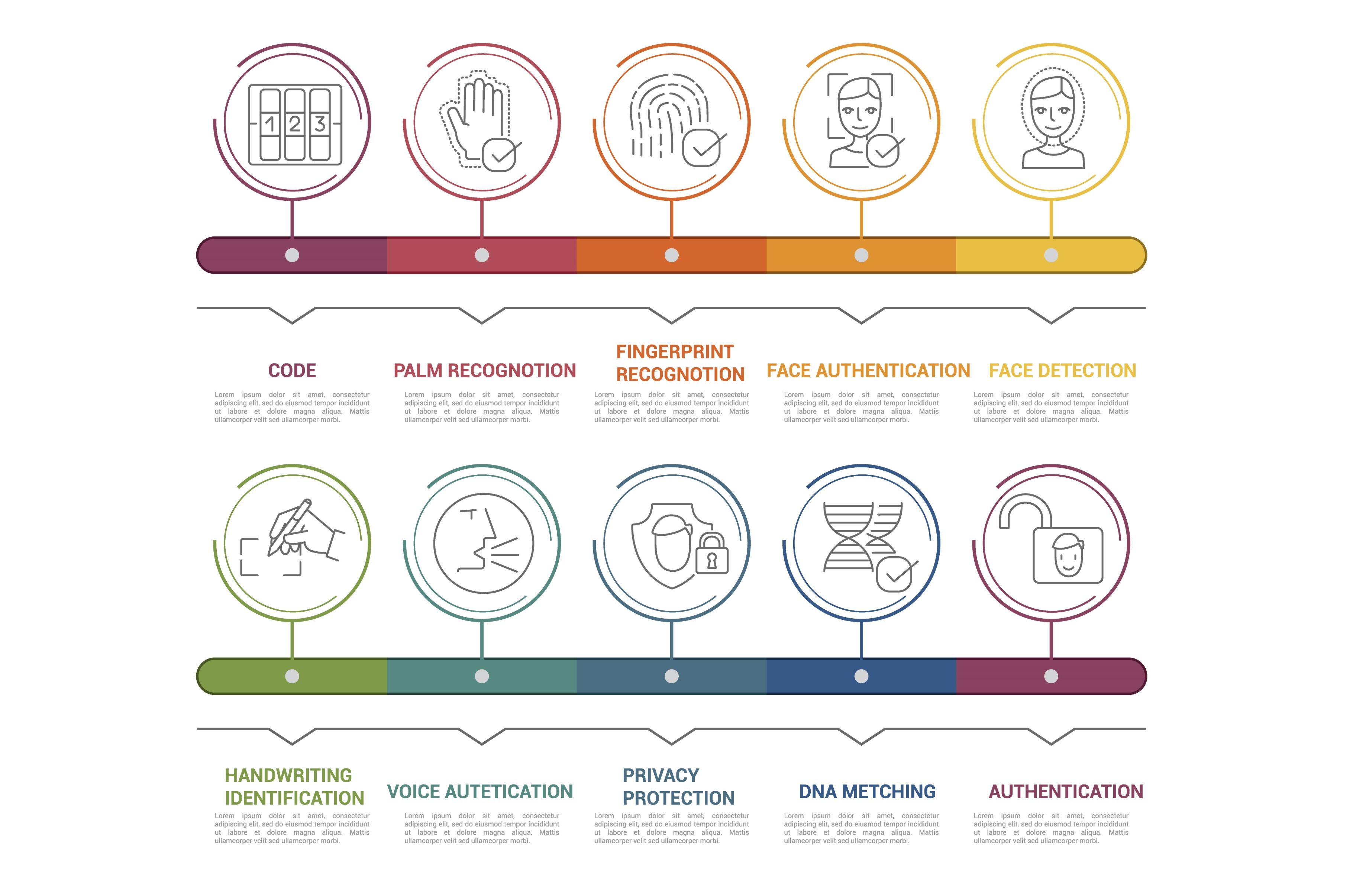 Infographic Authentication template, a Technology Illustration by ...
