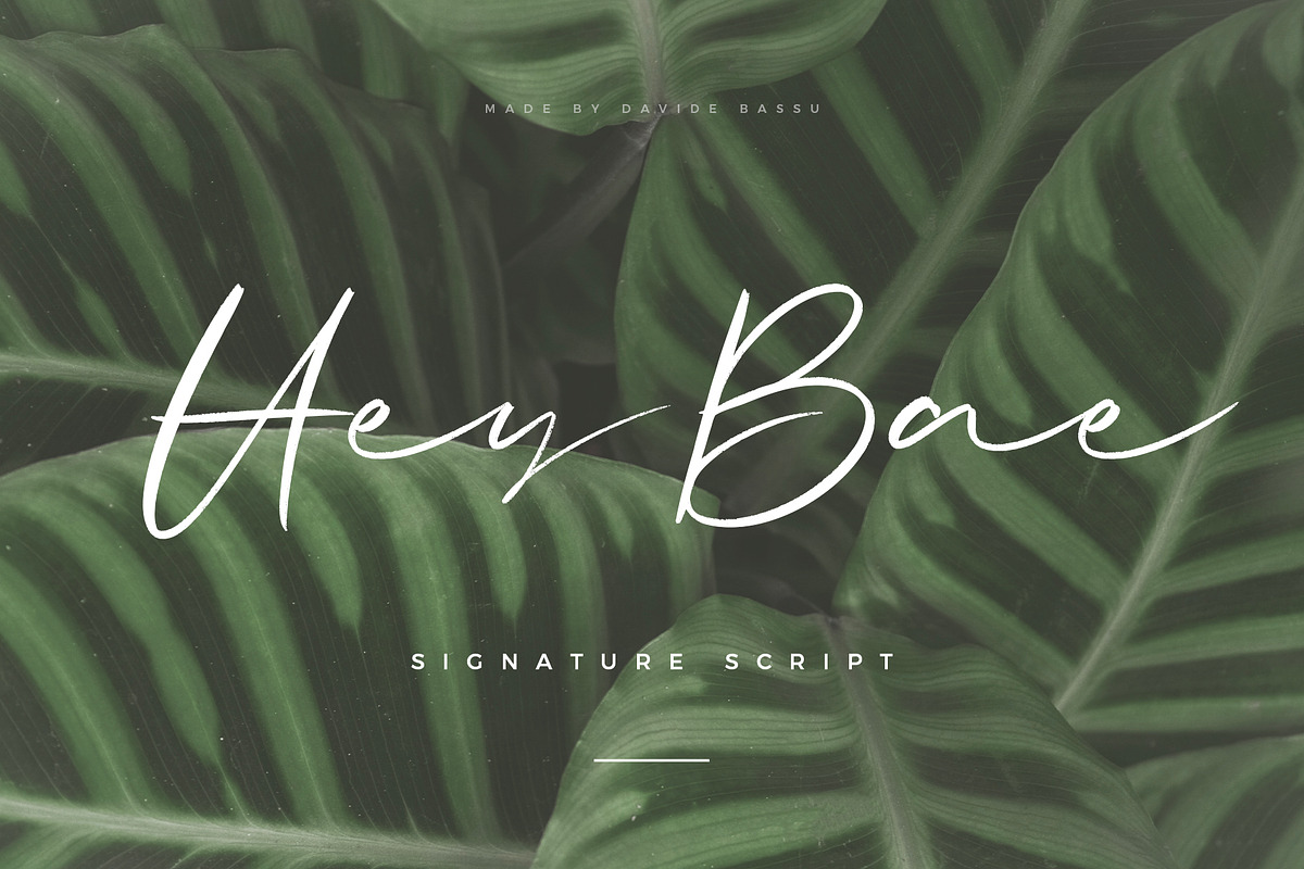 Hey Bae - Signature Script, a Script Font by Davide Bassu