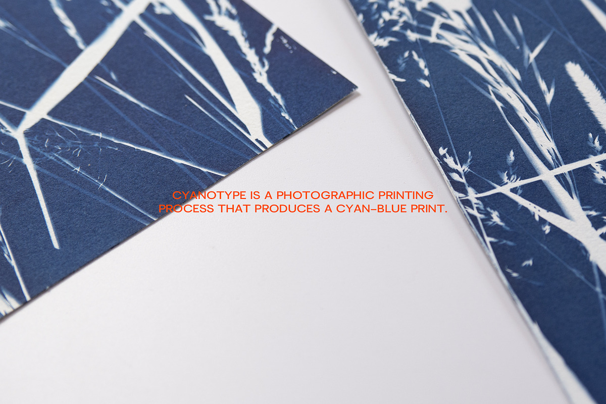 FLORAL Cyanotype, a Texture Graphic by NKate