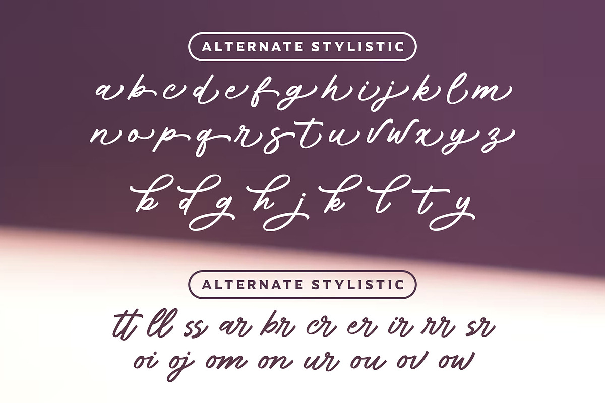 Catalyst Script - Modern Hanwritten, a Handwritten Font by Beautypes