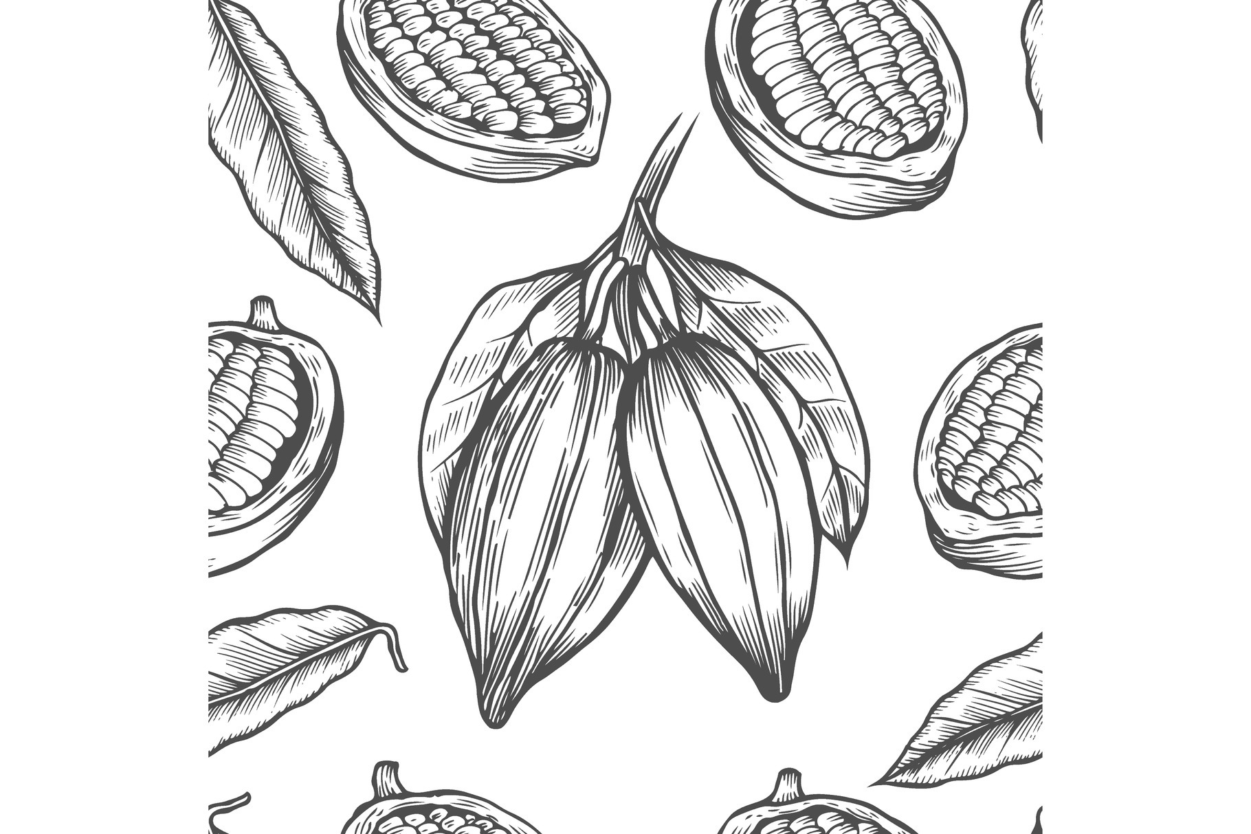 Vector Cocoa tree illustration, a Decorative Illustration by ...