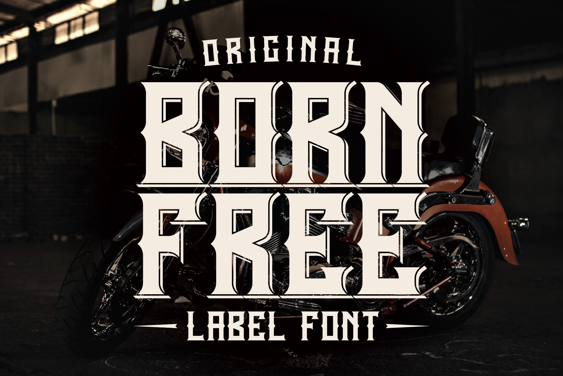 Born Free Typeface, a Symbol Font by VozzyStock