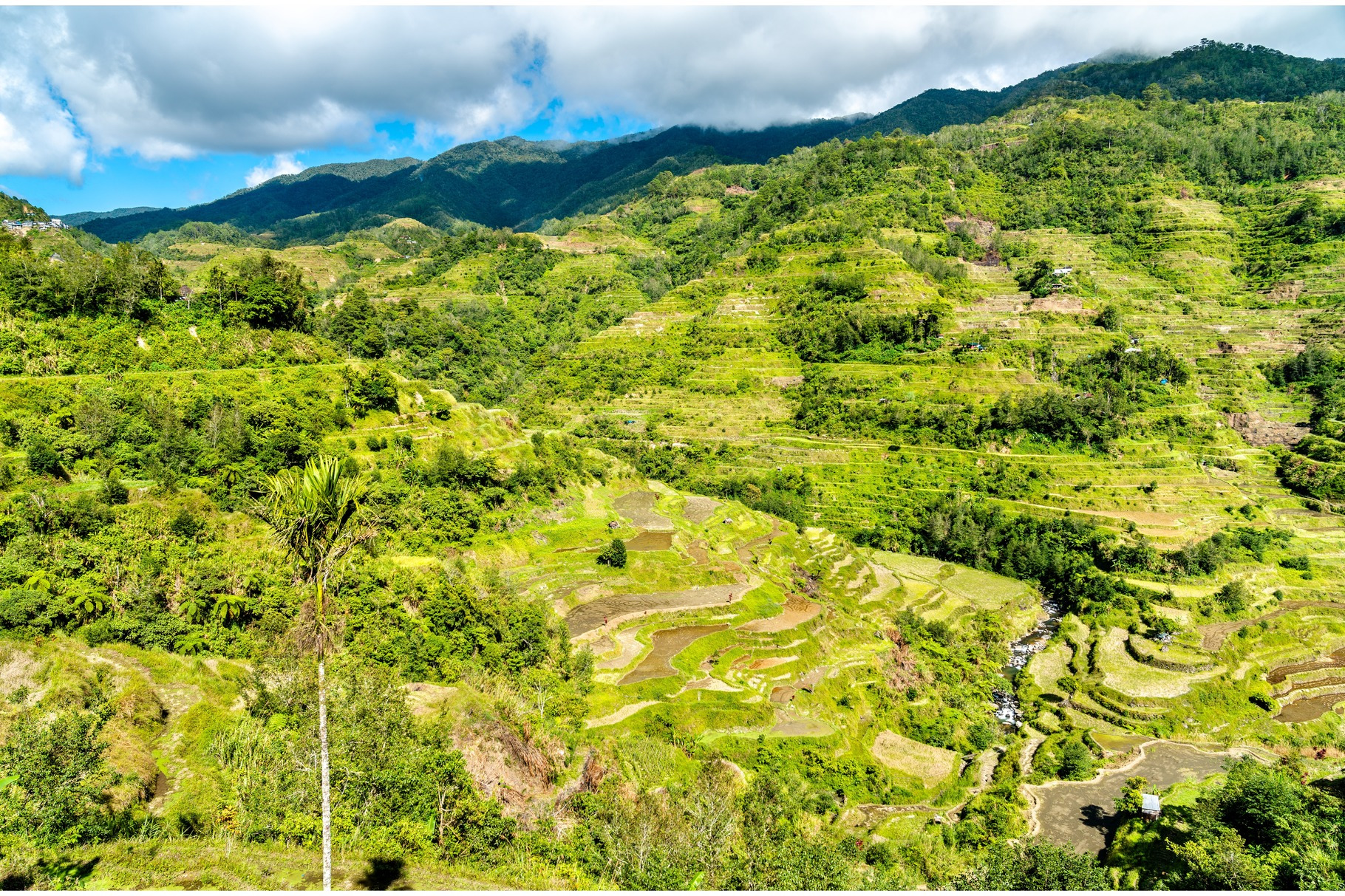Banaue rice terraces northern containing filipino, landscape, and ...