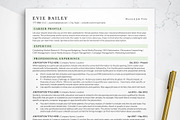 Executive ATS Resume Template, a Resume Template by BestResumes.Co