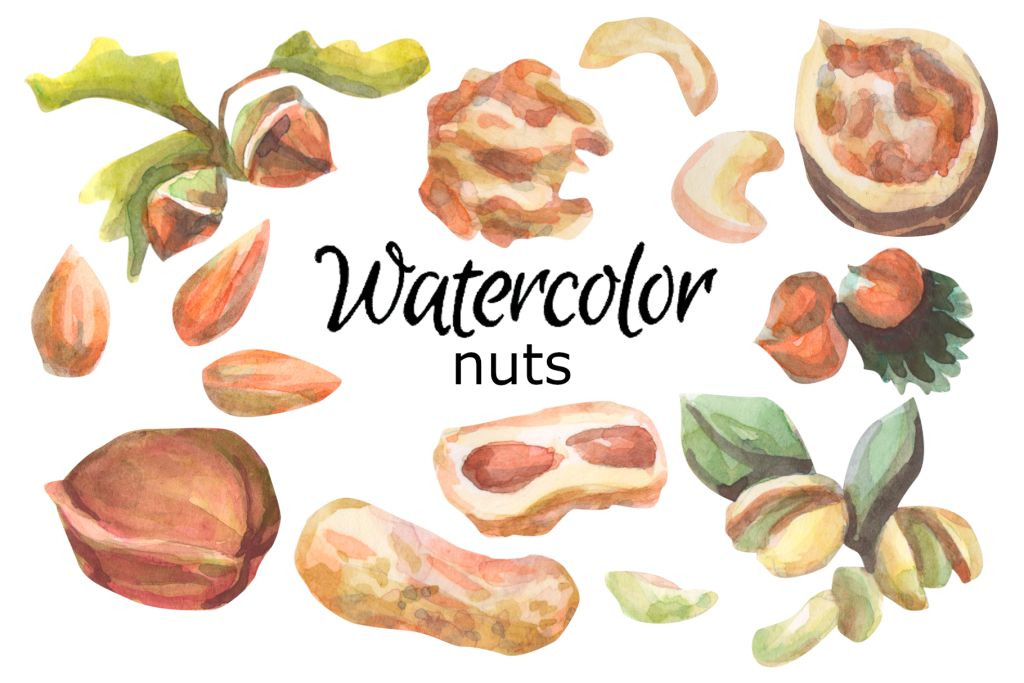 Nuts watercolor clipart, a Background Graphic by GoodFairyClipArt