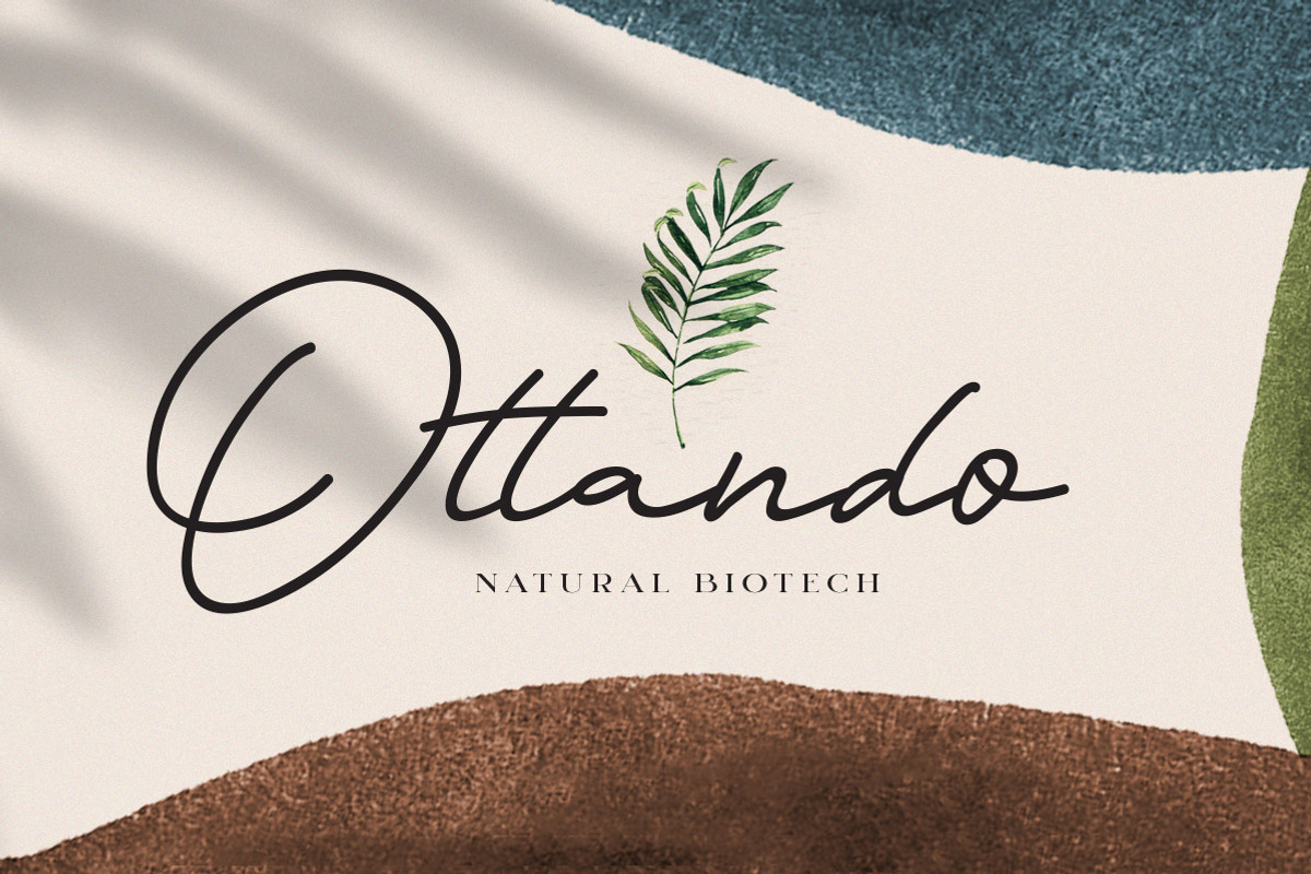 Orlando Signature + Extra Logo, a Script Font by Anxiety Studio