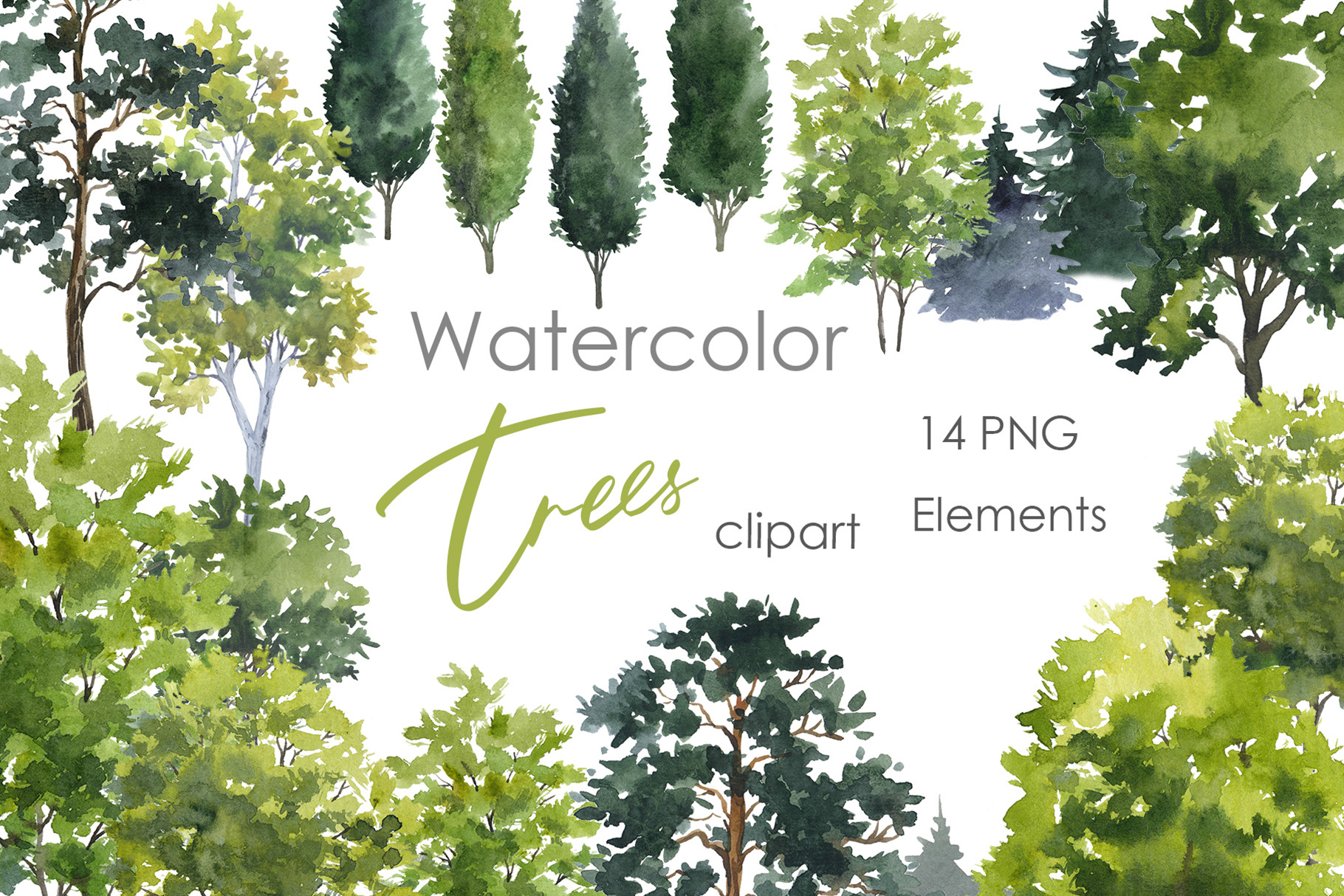 Watercolor clipart. Tree png, an Illustration by KomtsyanTatyanaArt