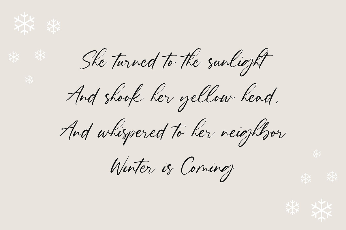 Winter Sunrise - Calligraphy Font | Creative Market