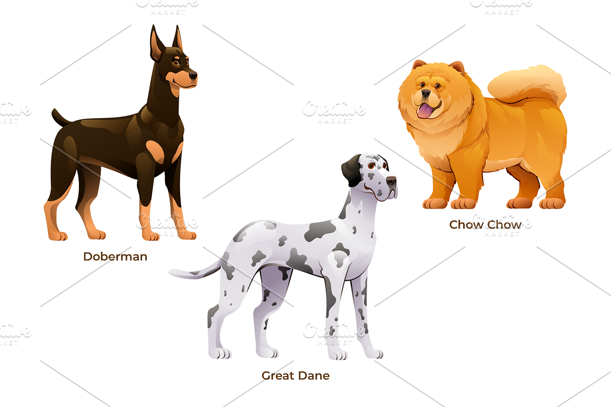 Dog Breeds Collection