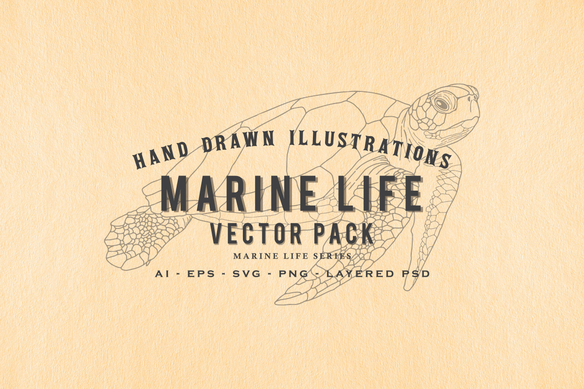 30 Hand Drawn Marine Life Vector Set, an Animal Illustration by Seaquint
