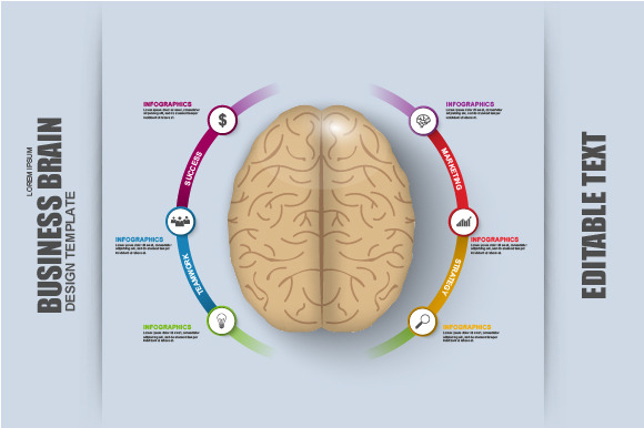 Business Brain Timeline Infographic, a Presentation Template by alexdndz