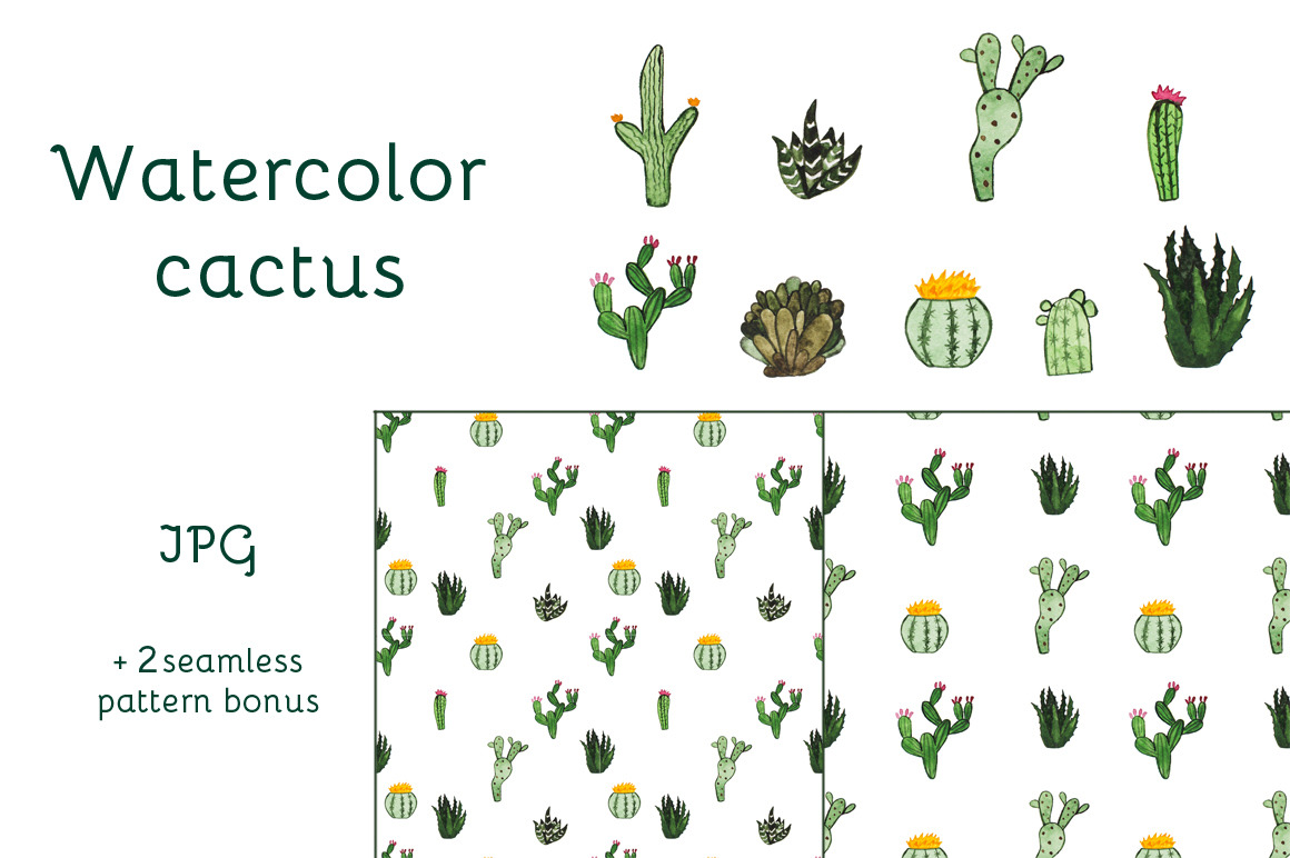 Watercolor cactus set, an Illustration by Wedphoto