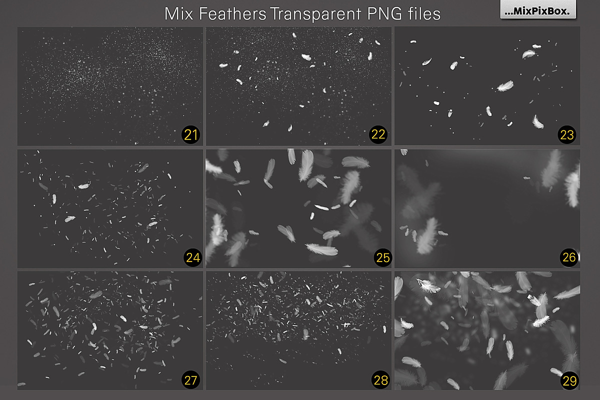 White Feathers Overlays, an Object Graphic by MixPixBox