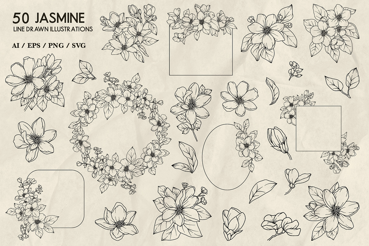 Jasmine line art + Procreate stamps, a Decorative Illustration by Skliarova