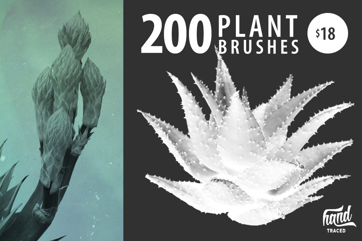 Plant Brushes v2, a Brush Add-On by envirographic
