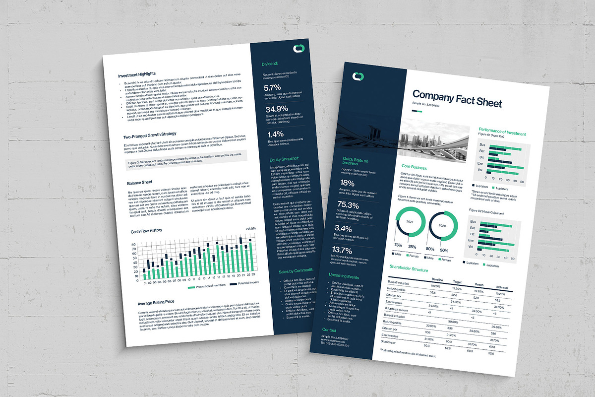 Factsheet, a Flyer Template by BrandPacks