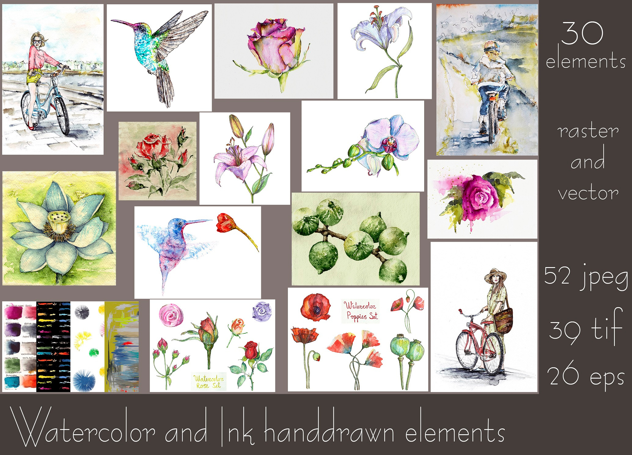 Bundle offer of watercolors, an Animal Illustration by Watercolor ...