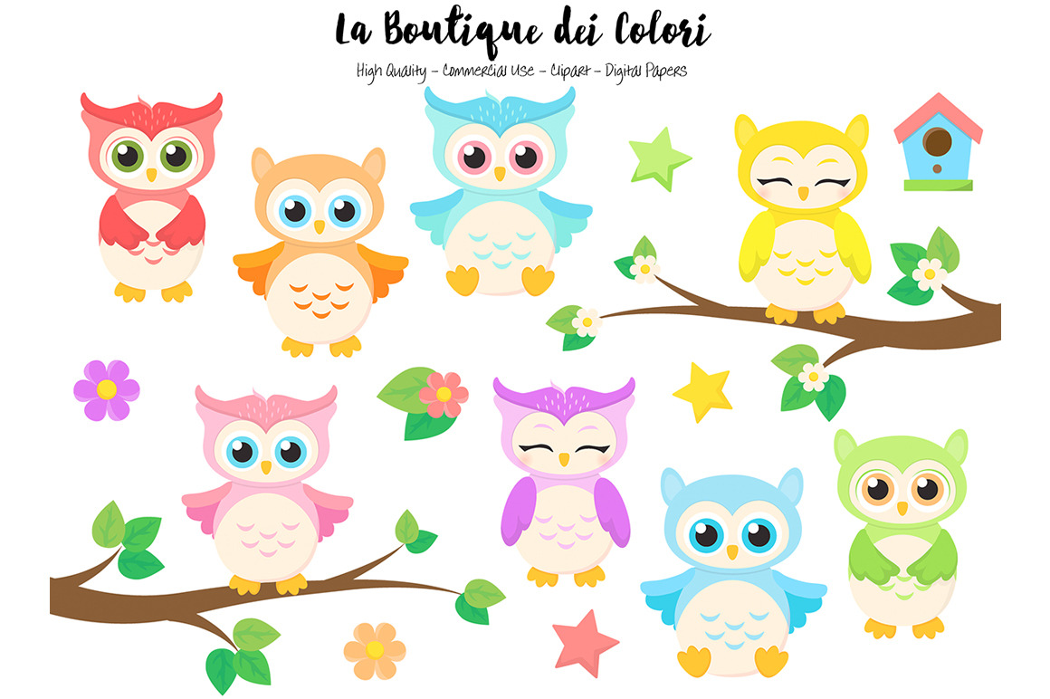 Cute Colorful Baby Owls Clipart, an Animal Illustration by La Boutique ...