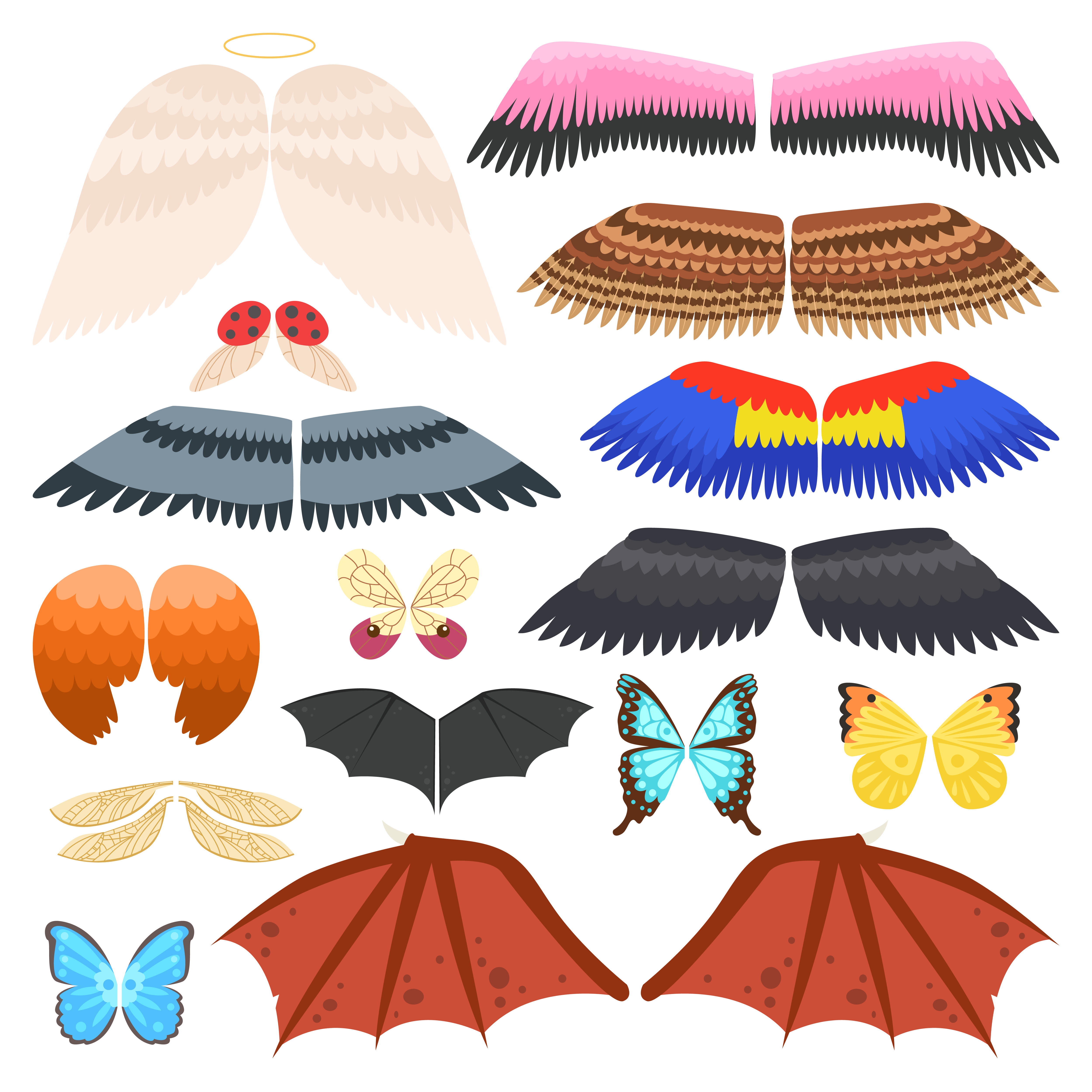 Wings isolated collection vector, an Animal Illustration by RocketArt