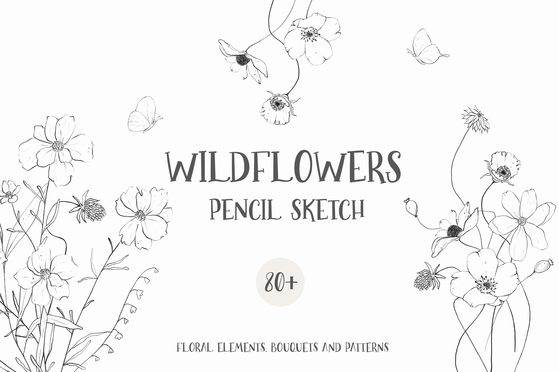Wildflowers pencil line art sketch set | Creative Market