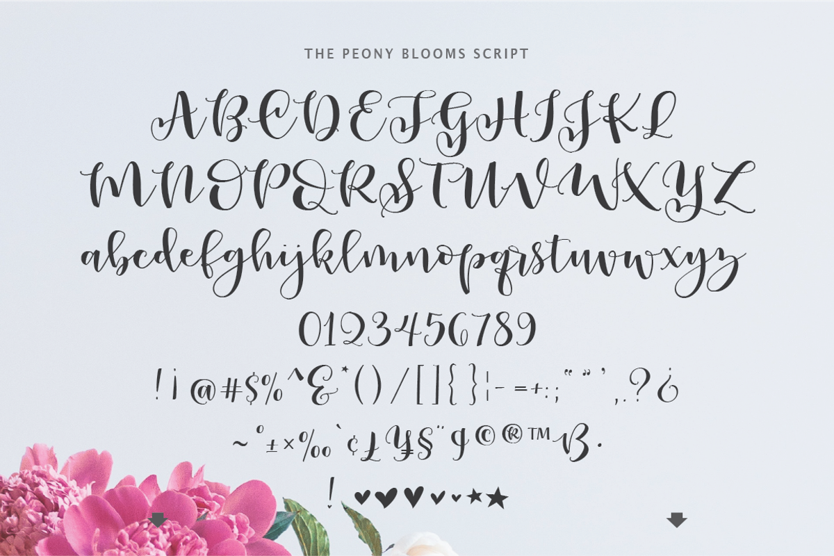 Peony Blooms Font Duo, a Script Font by Emily Spadoni