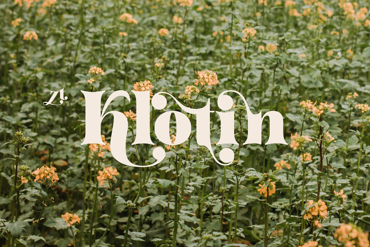 Zelowtype Serif Elegance Bundle