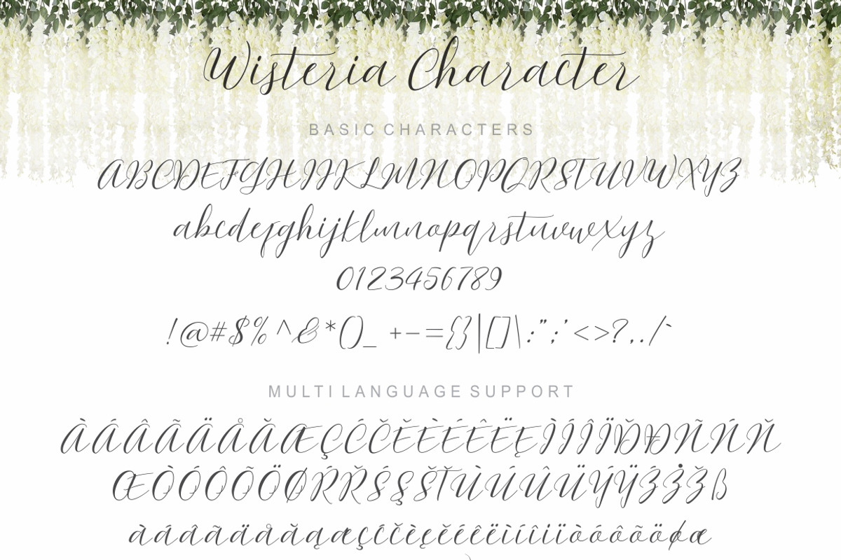 Wisteria Script, a Script Font by Gatype