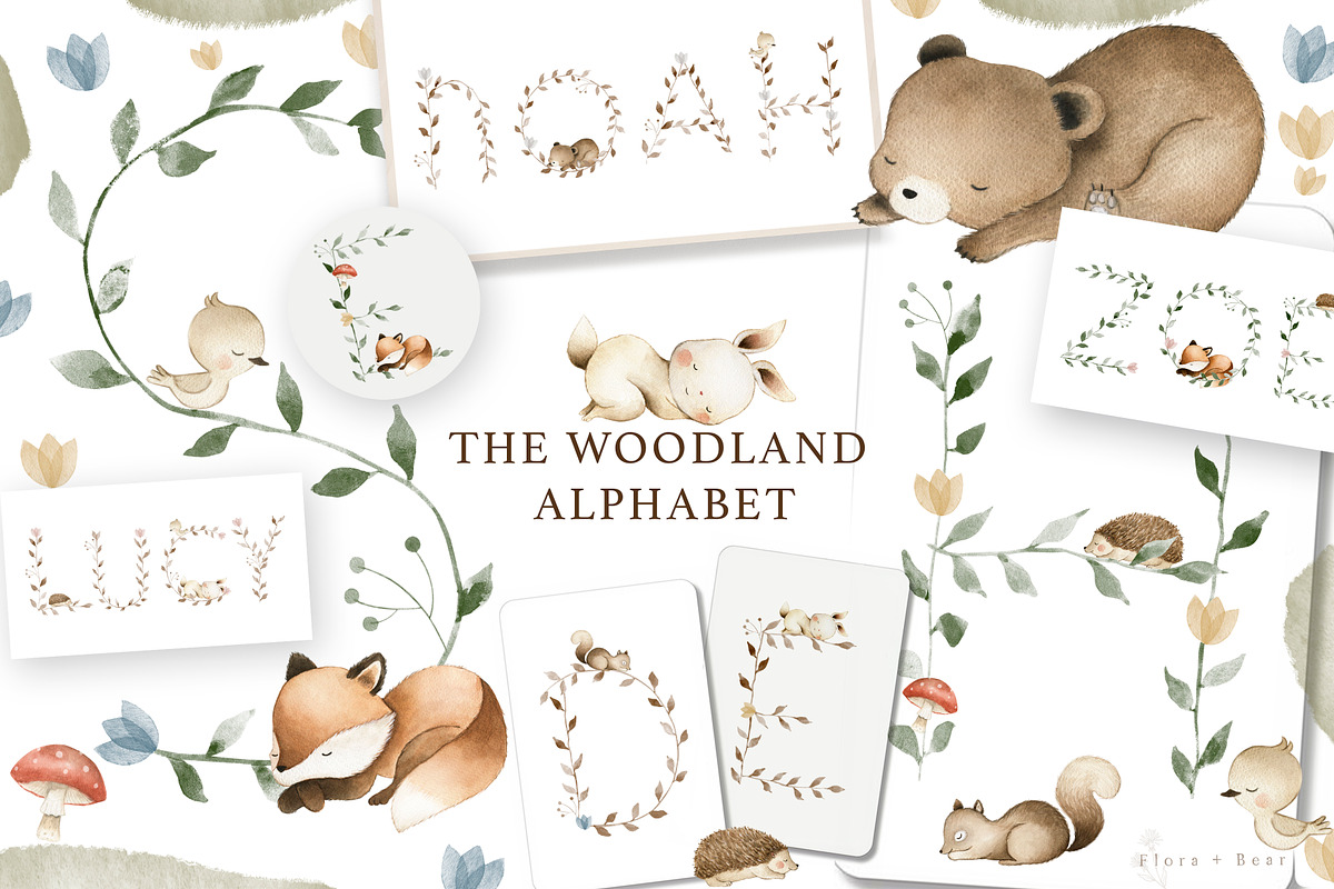 The Woodland Alphabet, an Animal Illustration by Flora+Bear