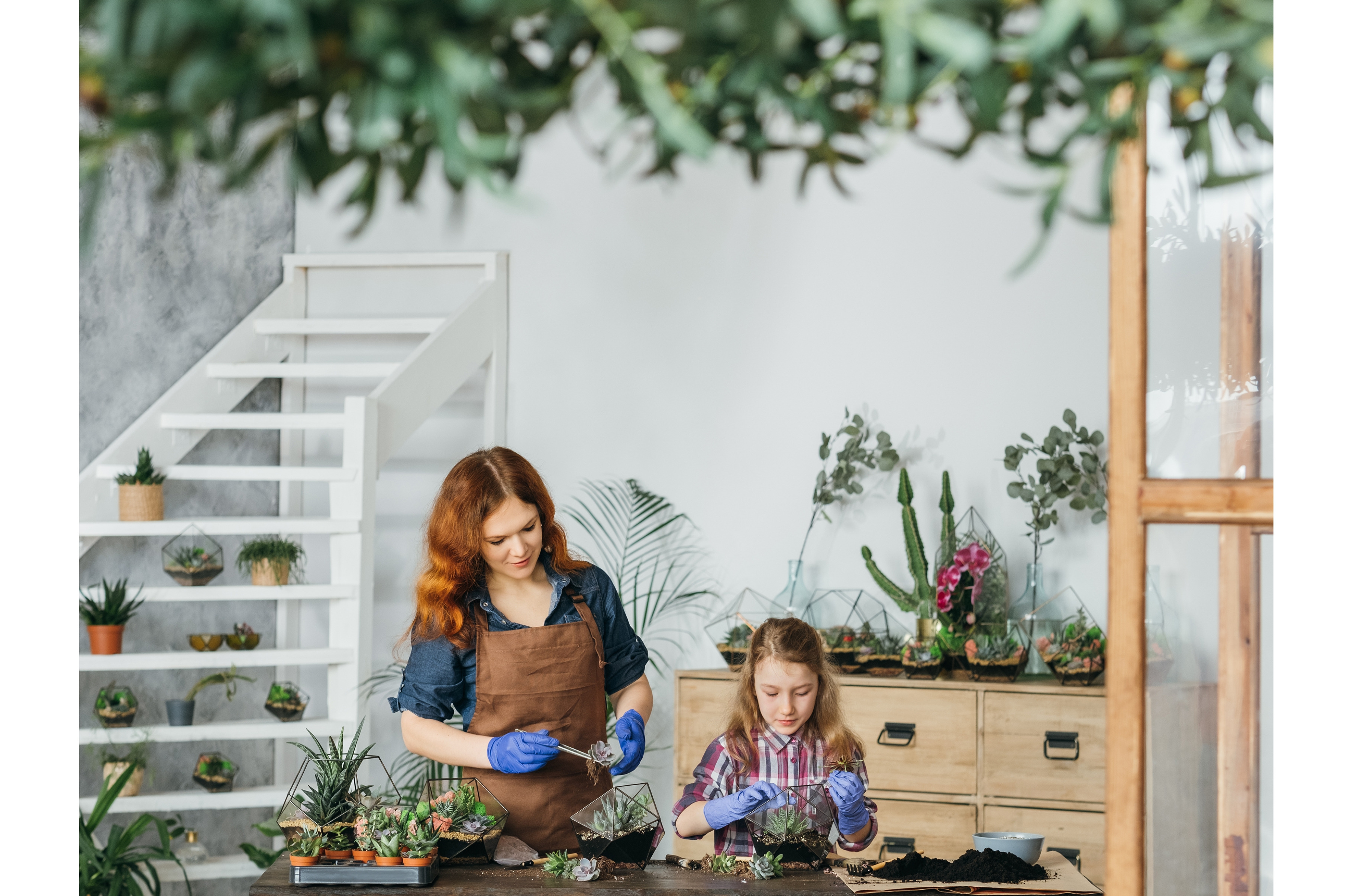 diy florarium creative family hobby | Graphics ~ Creative Market