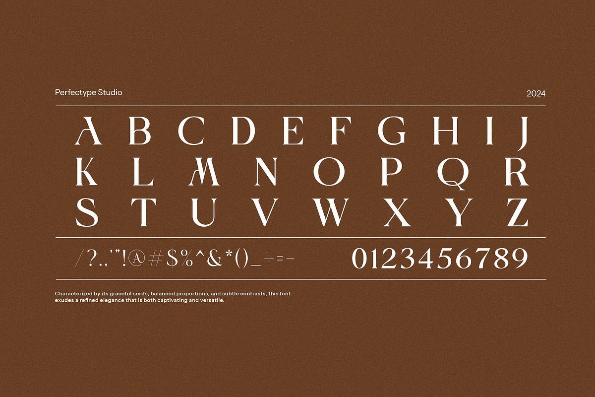 Naomi Elegant Serif Font By Perfectype