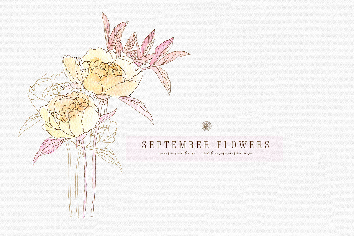 September Flowers vol.2, a Decorative Illustration by Webvilla Studio