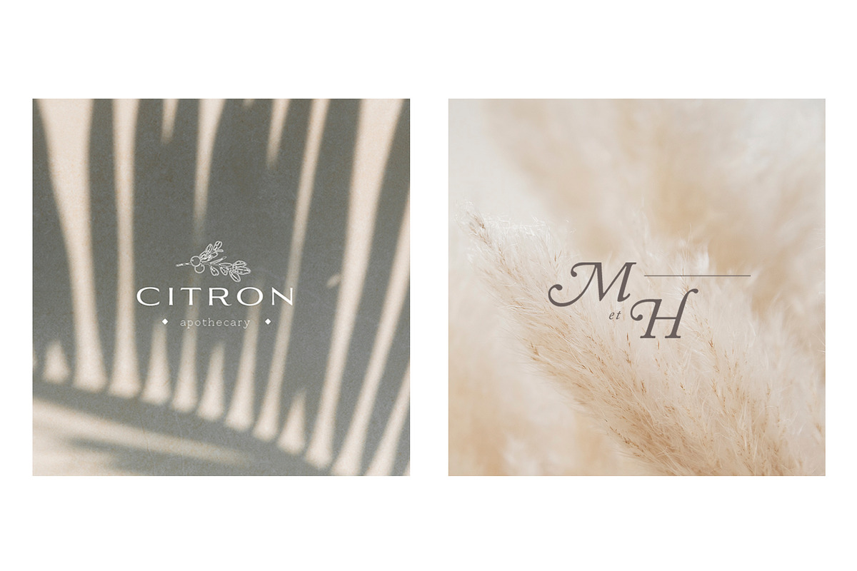 Multi-brand logo bundle, a Branding & Logo Template by MONIIT STUDIO