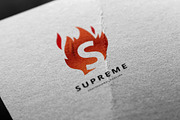 Letter S Fire Logo, a Branding & Logo Template by Design_Planet ...
