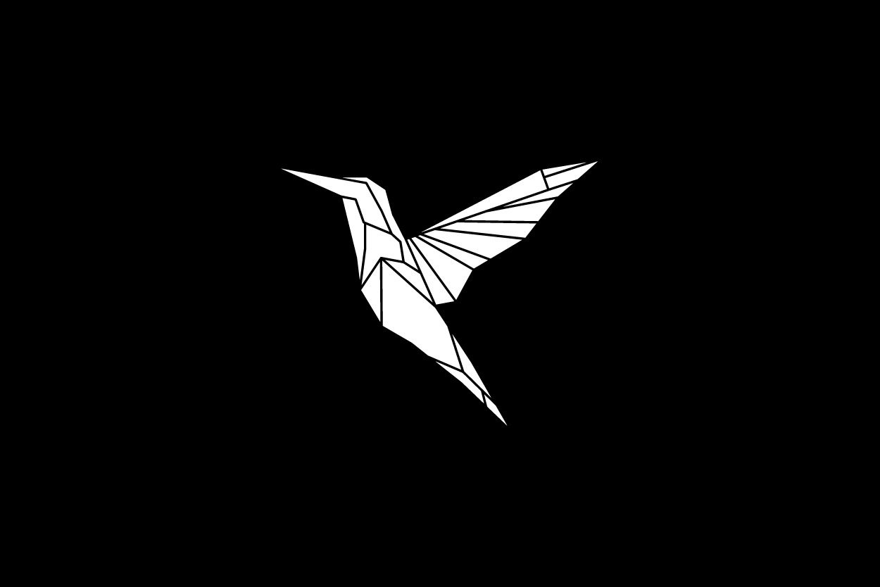 geometric hummingbird fly logo