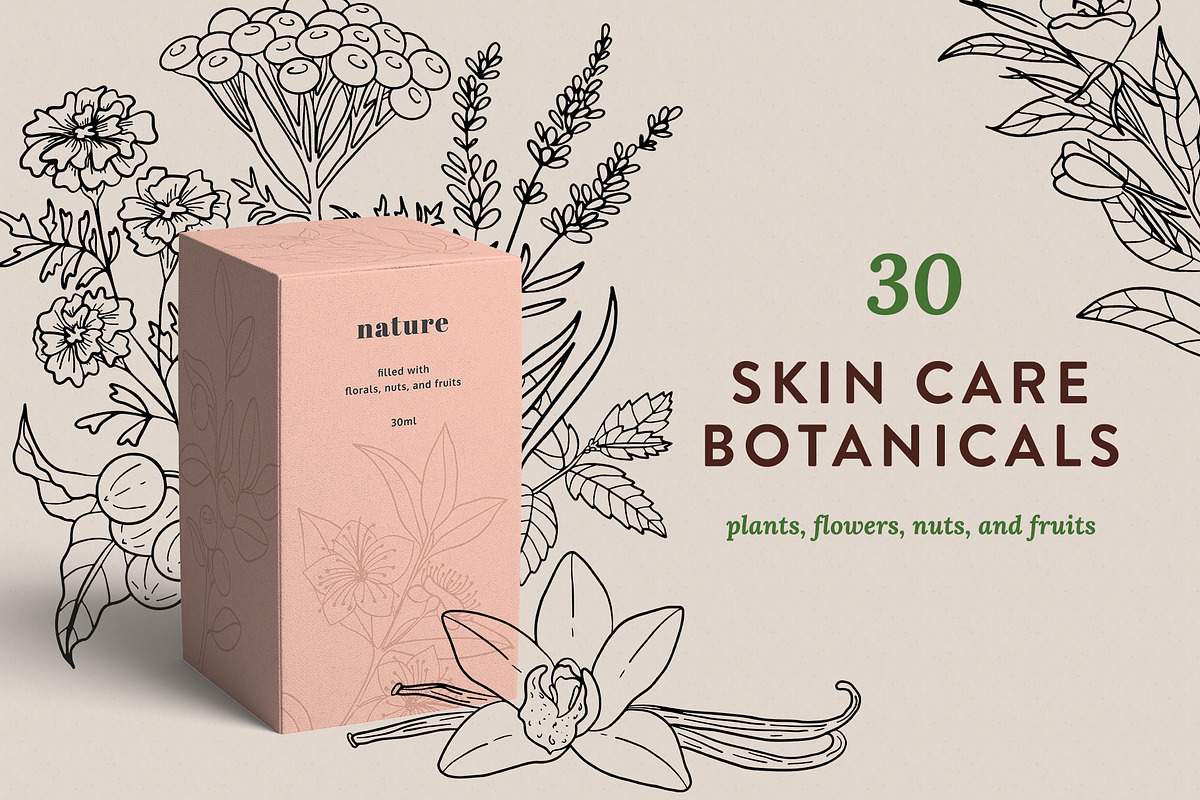 Skin Care Botanicals | 30 designs, a Healthcare Illustration by amber&ink